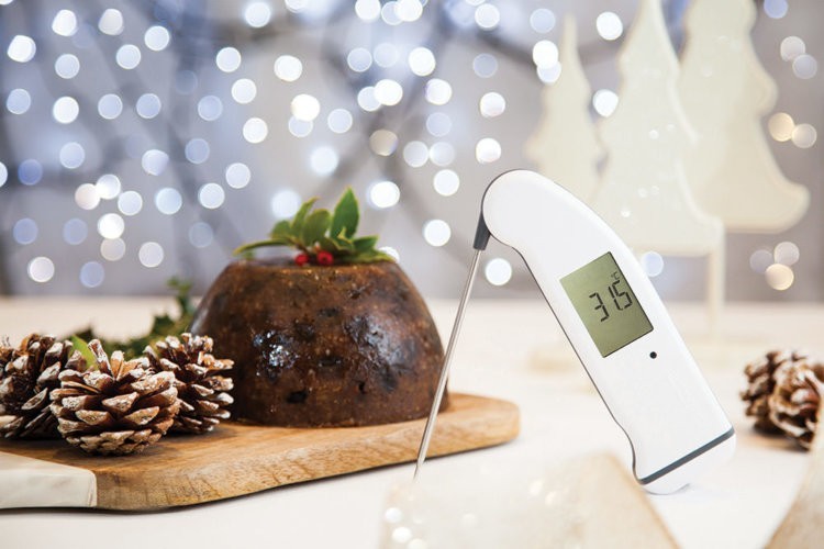 234-417 Thermapen White Christmas pudding – ETI Temperature Blog