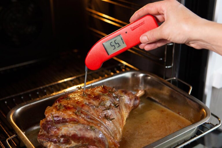 How to Use a Food Thermometer Accurately – ETI Temperature Blog