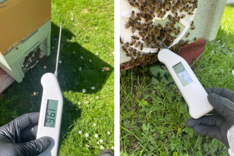 Beekeeping & Hive Temperatures with SW Honey Farms – ETI Temperature Blog