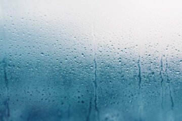 5 Best Hygrometers for Measuring Humidity – ETI Temperature Blog