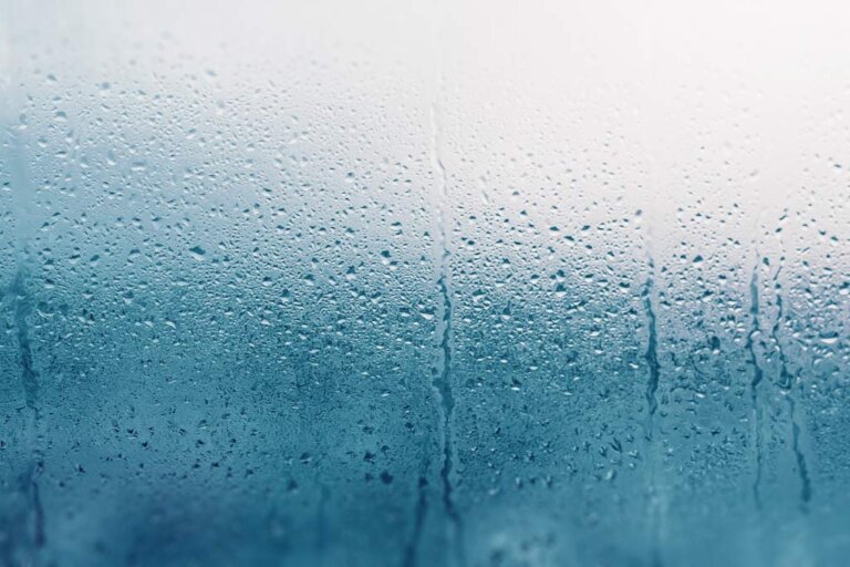 5 Best Hygrometers for Measuring Humidity – ETI Temperature Blog