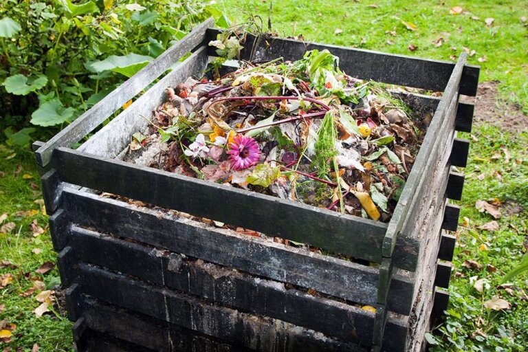 A Complete Guide to Hot Composting – ETI Temperature Blog